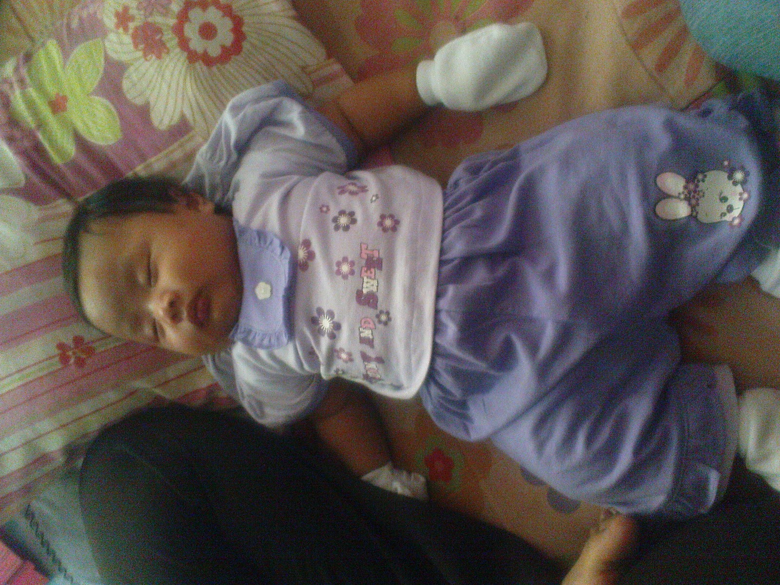 saya nur anis: 2011-12-18