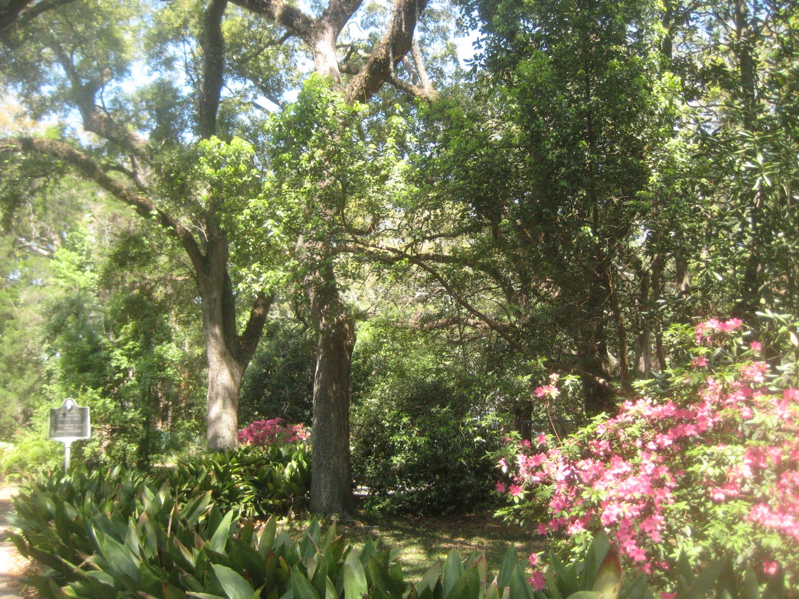 Southern Folk Artist & Antiques Dealer/Collector: A Spring walk along ...