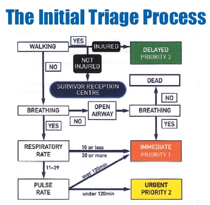 a med student walks into a bar...: Triaging Information