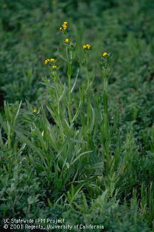 Sustainable Ag: A View from the Field: Putting Together a Solid Off ...