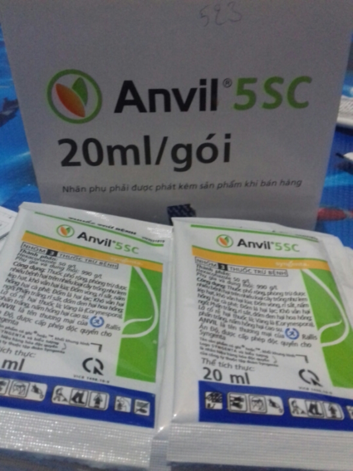 Tự Tin Anvil Bệnh Phấn Trắng Không Phải Lo Lắng