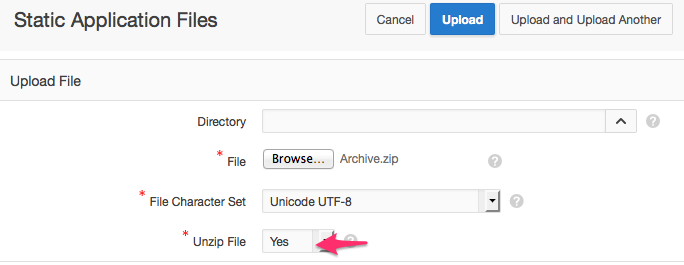 APEX 5 New Static File Features