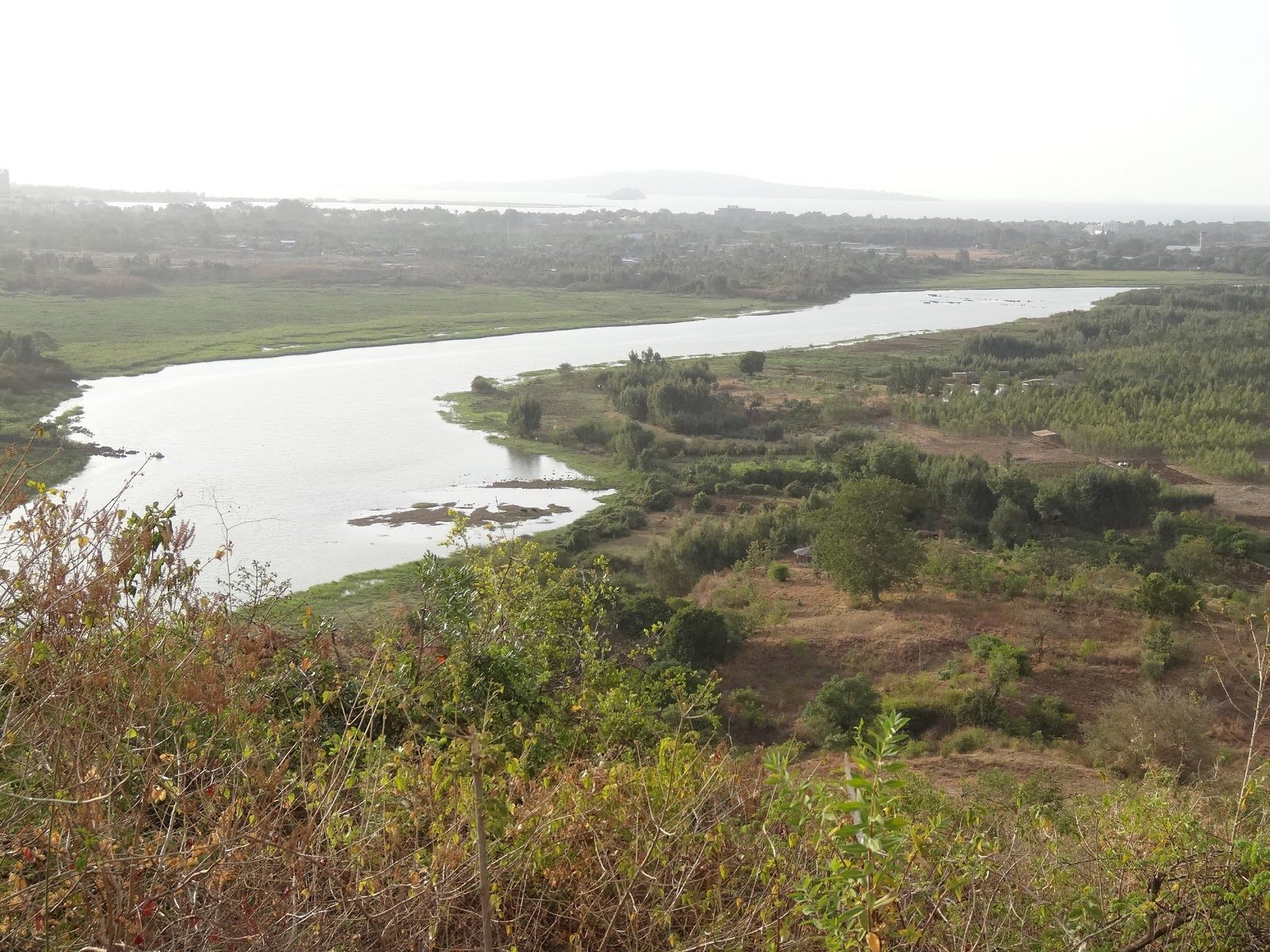 valter: Sorgente del Nilo Azzurro e Ippopotami