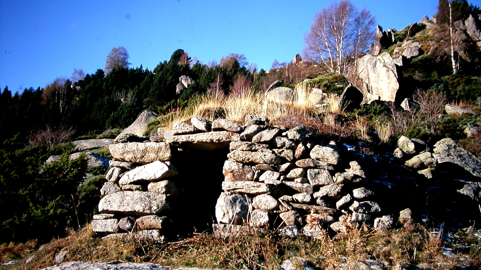 El vocabulari de la natura: ORRI