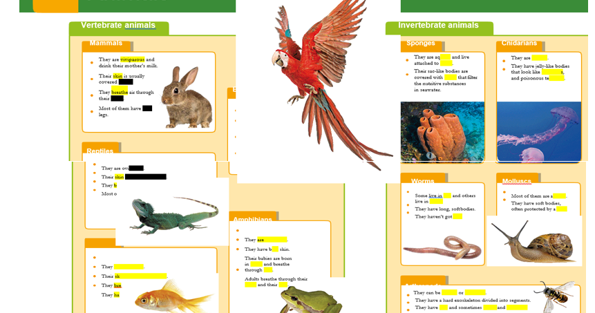 Aprendiendo con Elipe: Science 3º. Poster Animales vertebrados ...