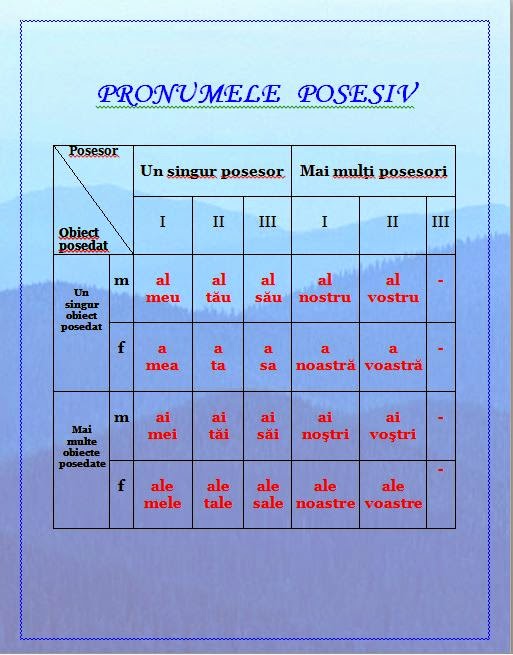 TEMA LA LIMBA ROMANA: PRONUMELE POSESIV