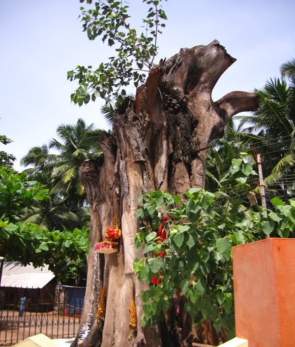 Tamilnadu Tourism: Kali Temple, Colachel, Kanyakumari