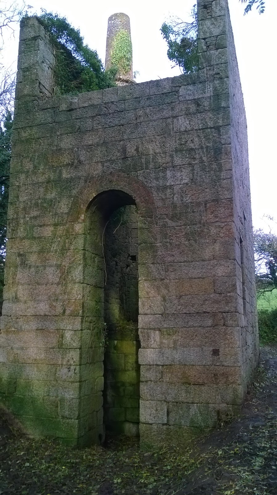 Lizard and Penrose NT Blog