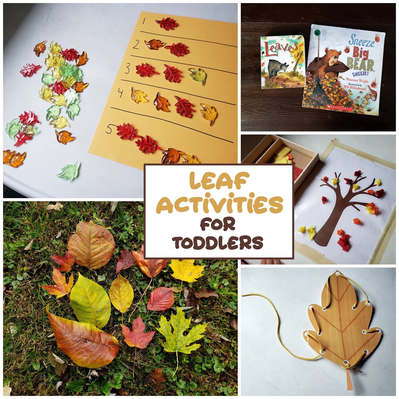 Mom's Tot School: Leaf Activities for Toddlers