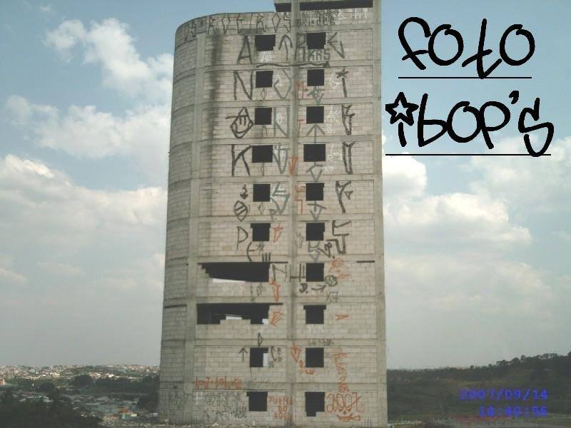 Pixação e Graffiti de São Paulo: Pixação - IBOPS