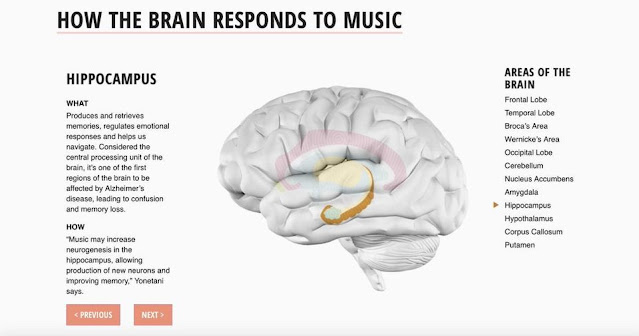amudu: Which parts of the brain are activated by music?