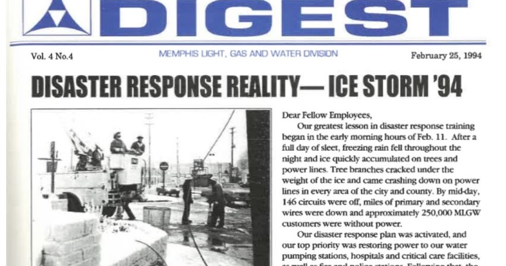 Bird on a Wire: Ice Storm '94