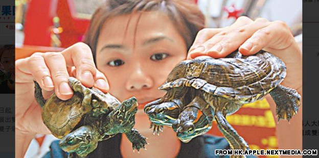 Ghost Hunting Theories: Two-Headed Creatures!