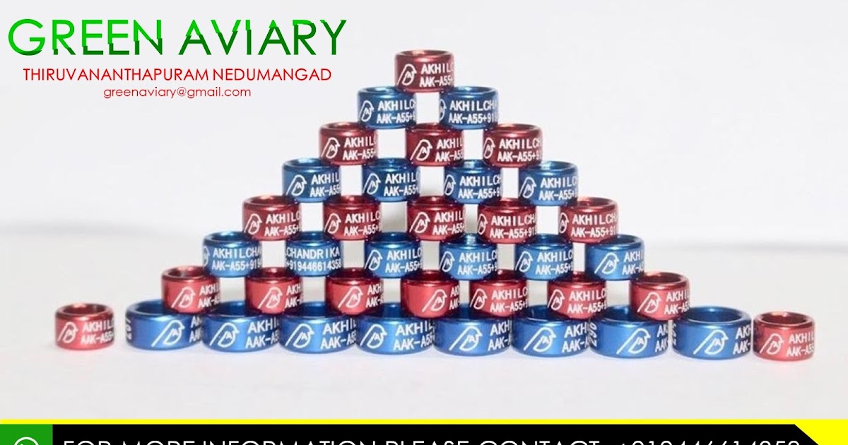 ALL BIRDS LEG BAND (RING) SIZE LIST