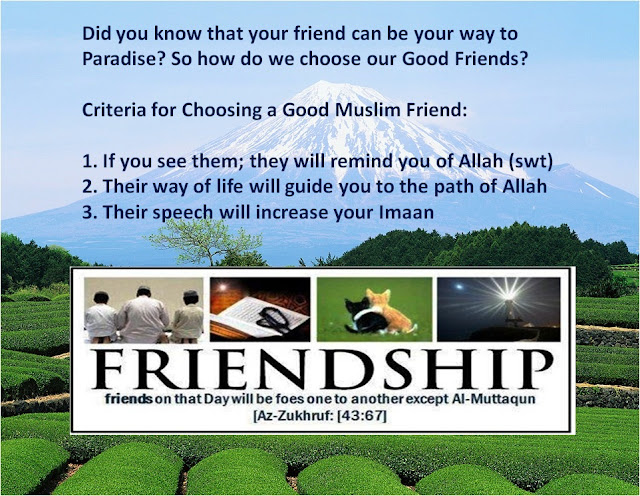 friendship.jpg