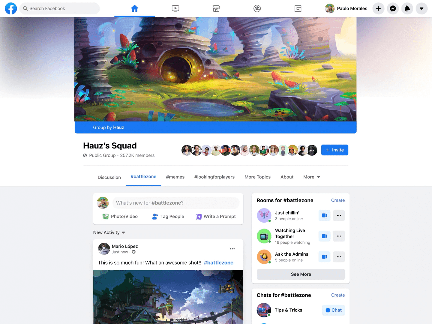 Facebook has introduced Fan-Groups for the promotion of gaming ...