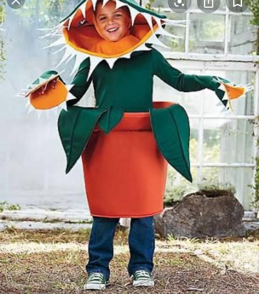 Blog For 4th Graders Of Infanta Leonor School Carnival Costumes Ideas blog-for-4th-graders-of-infanta-leonor-school-carnival-costumes-ideas