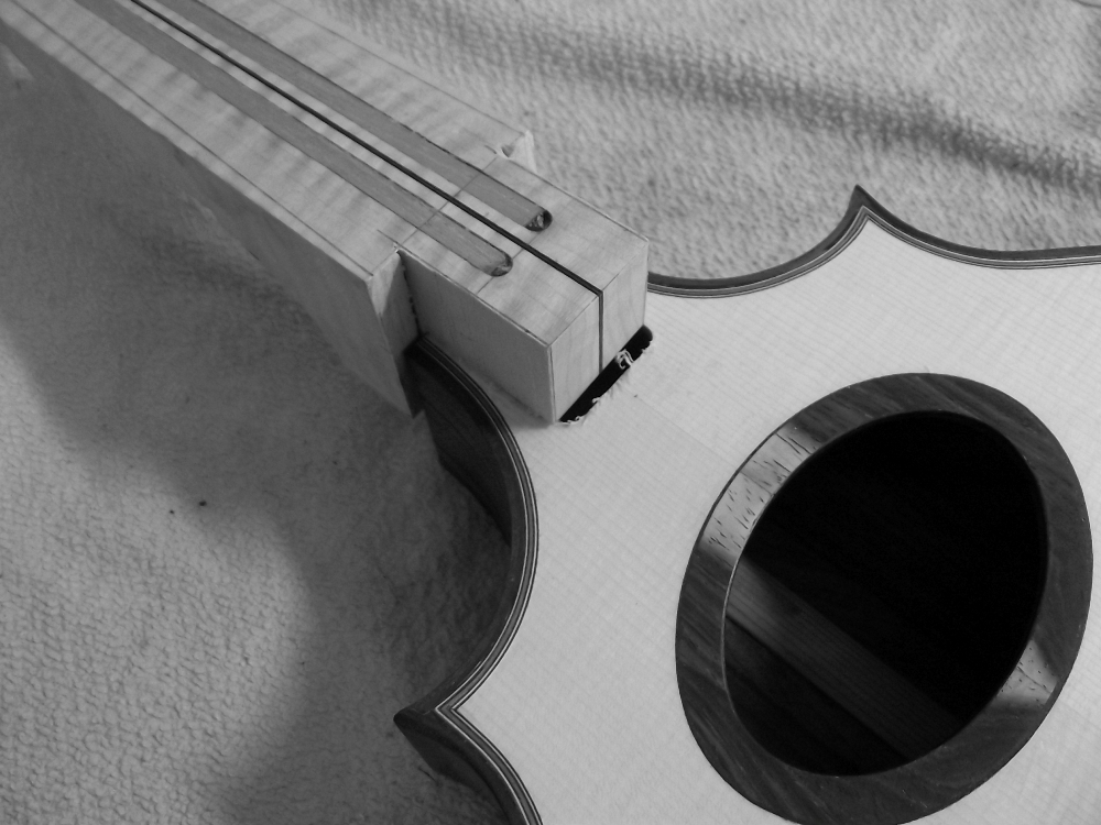 A Luthier's Blog: Fitting a mandolin neck... and more!