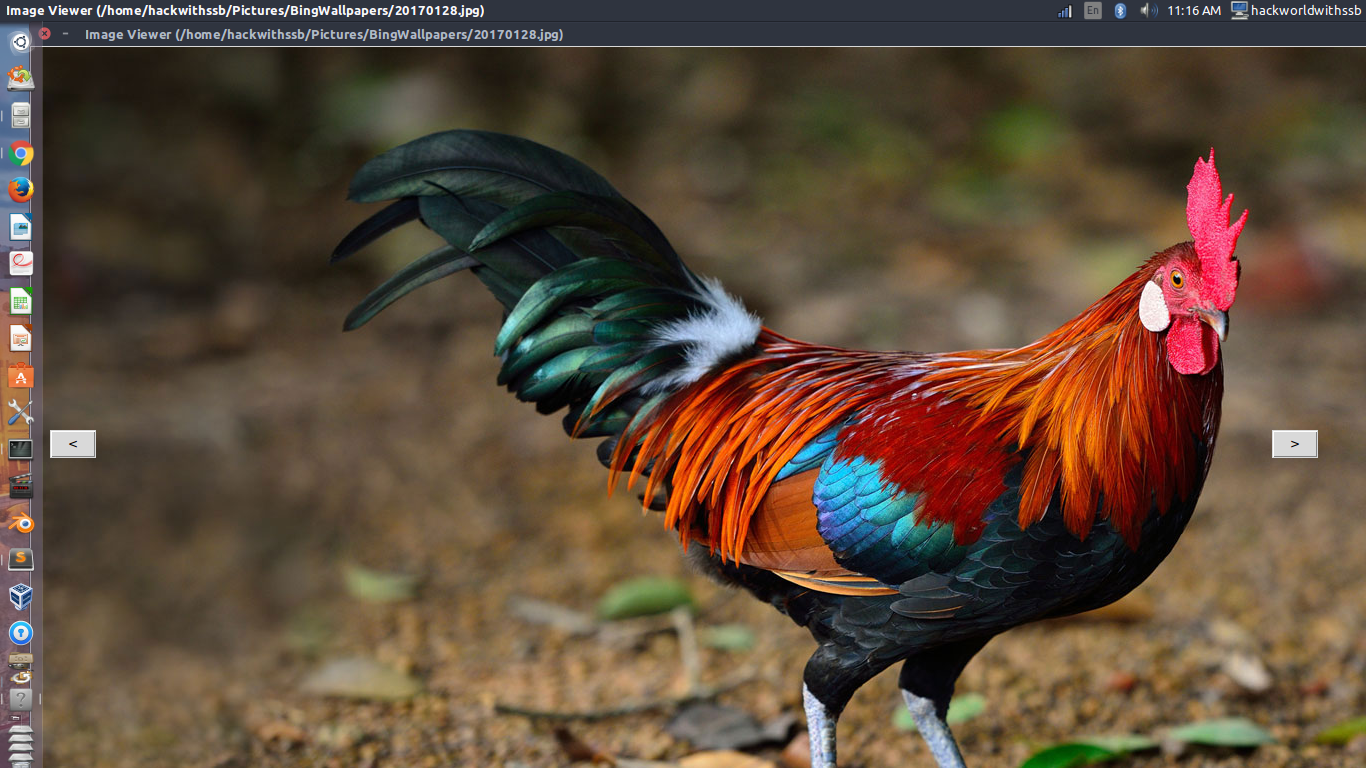 How To Create Image Viewer Using Python Tkinter And Pil