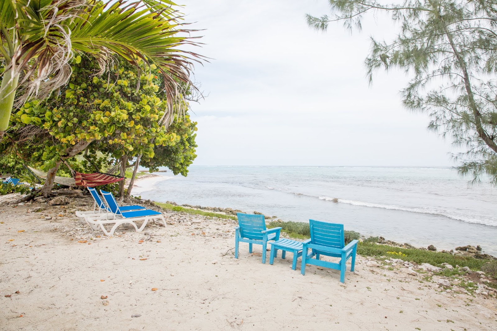 Alice Gostick: Things to do in Grand Cayman - Visit Little Cayman