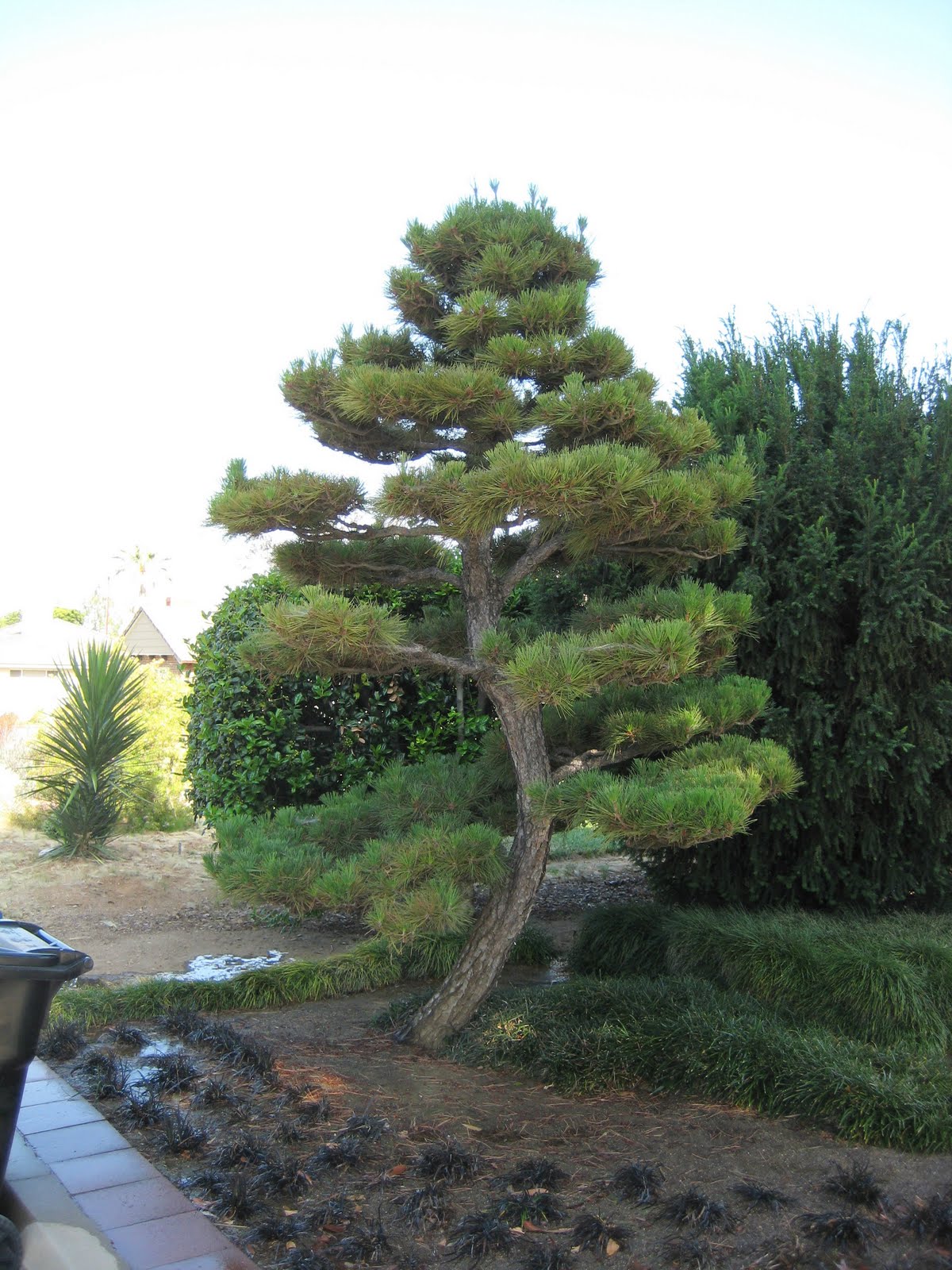 Branch Work: Jim Barrett