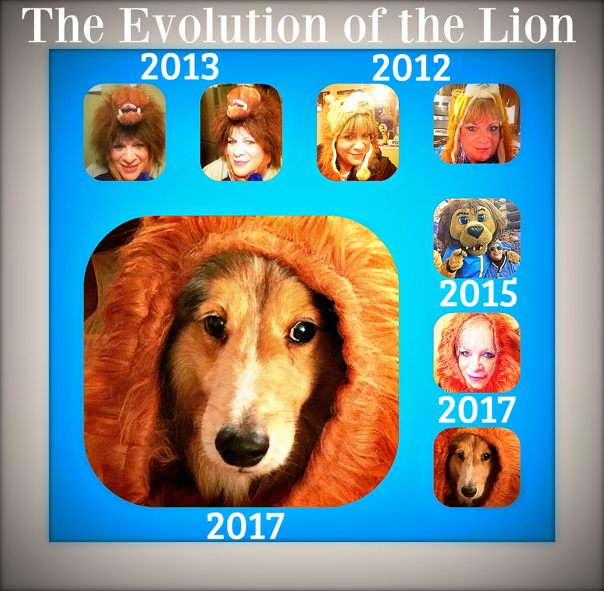 Cat and DOG Chat With Caren: The Evolution of the Lion (in slightly ...