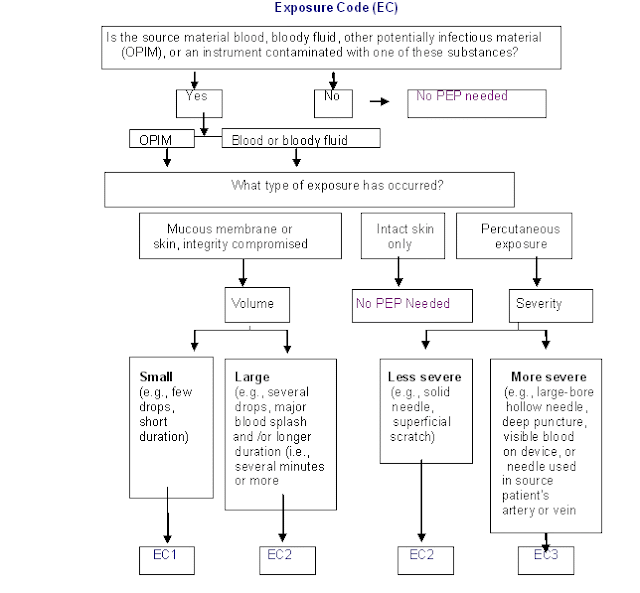 Determination of the Exposure Code in PEP