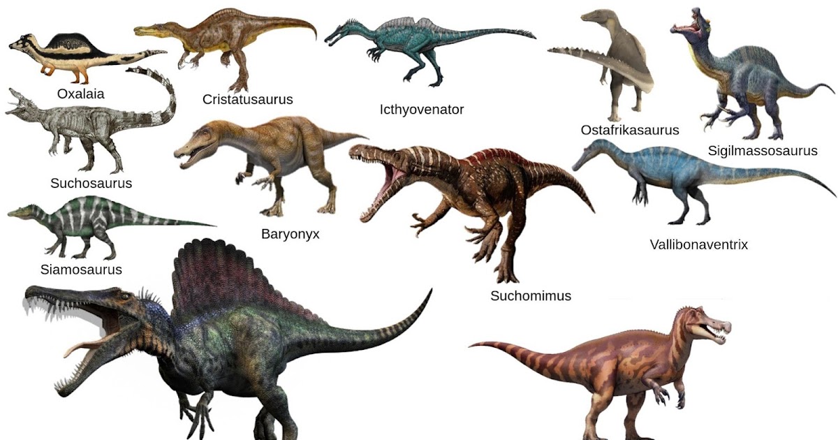 Spinosauridae Dinosaurs