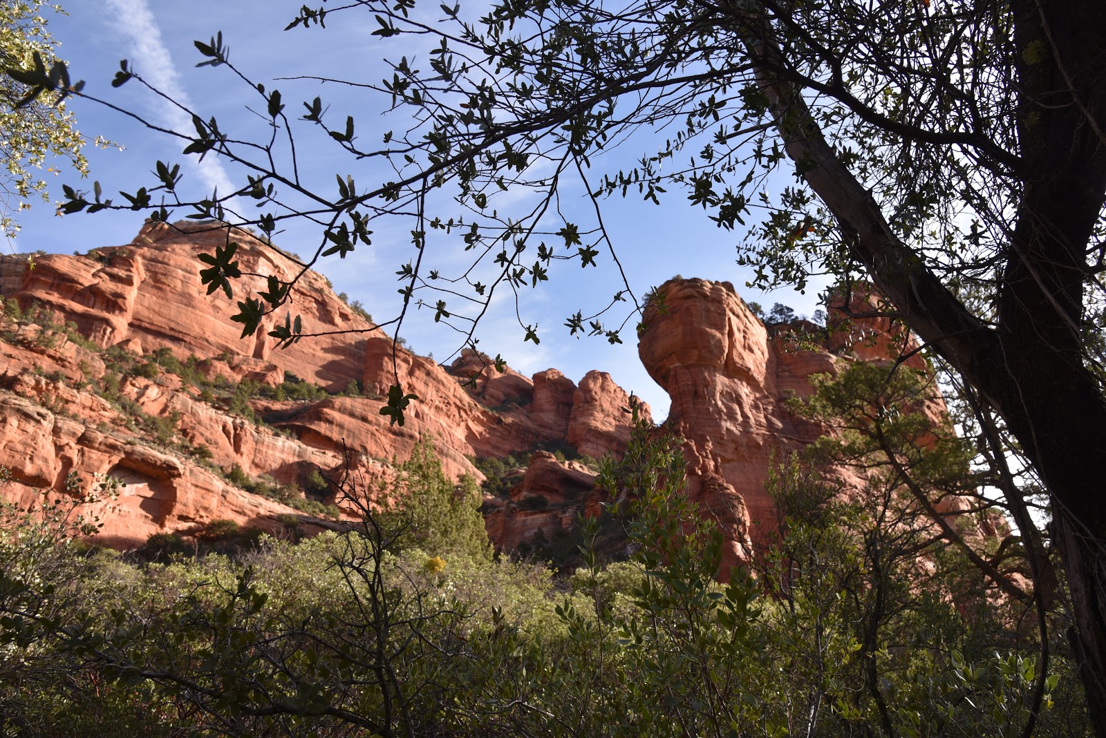 Arizona Hiking: Fay Canyon