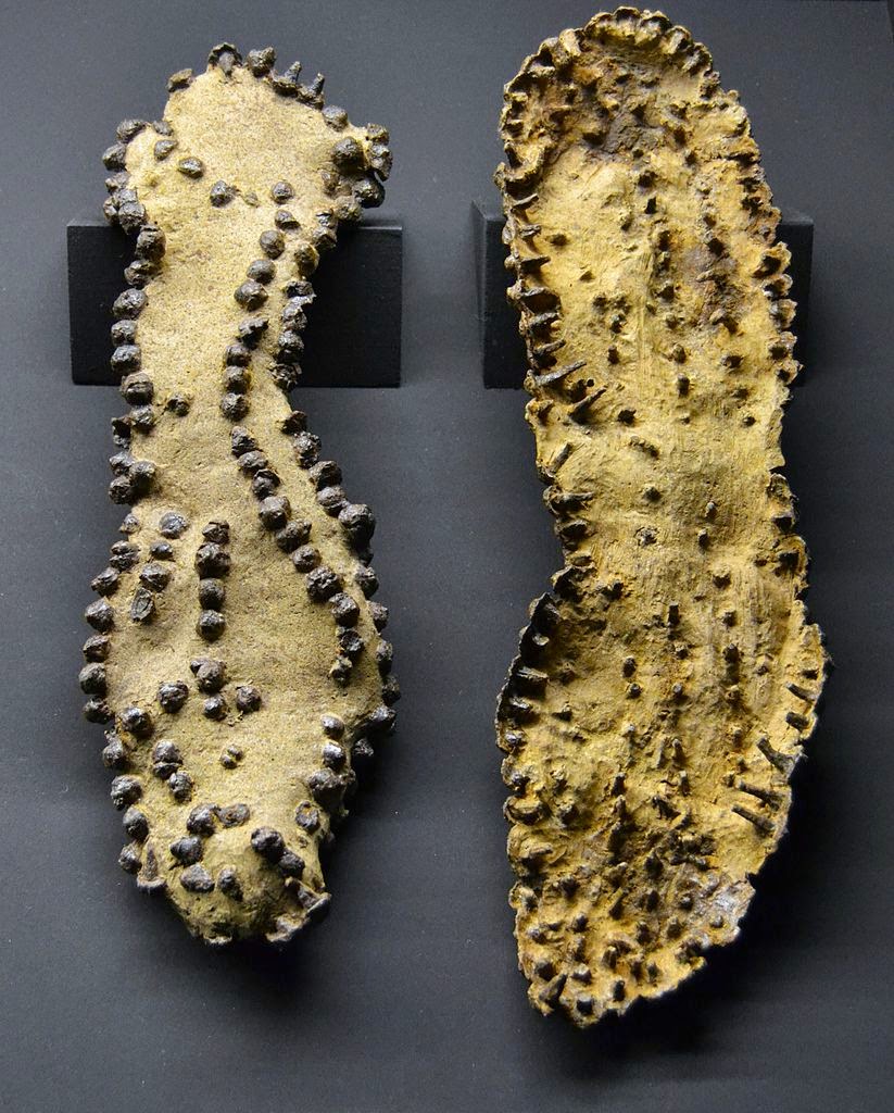 DOMVS ROMANA: Calceus, andar cómodamente y con estilo en la antigua Roma