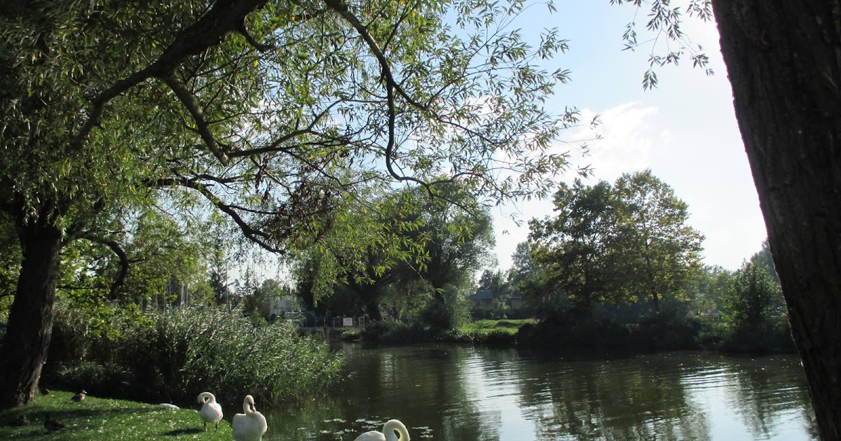 A békesség szigete: J.S. Bach: Az elmét felüdítő zenéről...