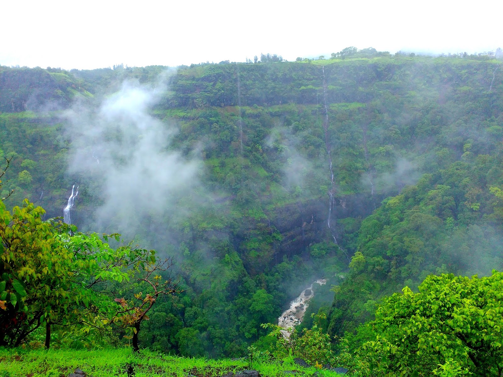 The WildWanderer: Trekking into the Woods and waterfalls - Ulhas Valley ...