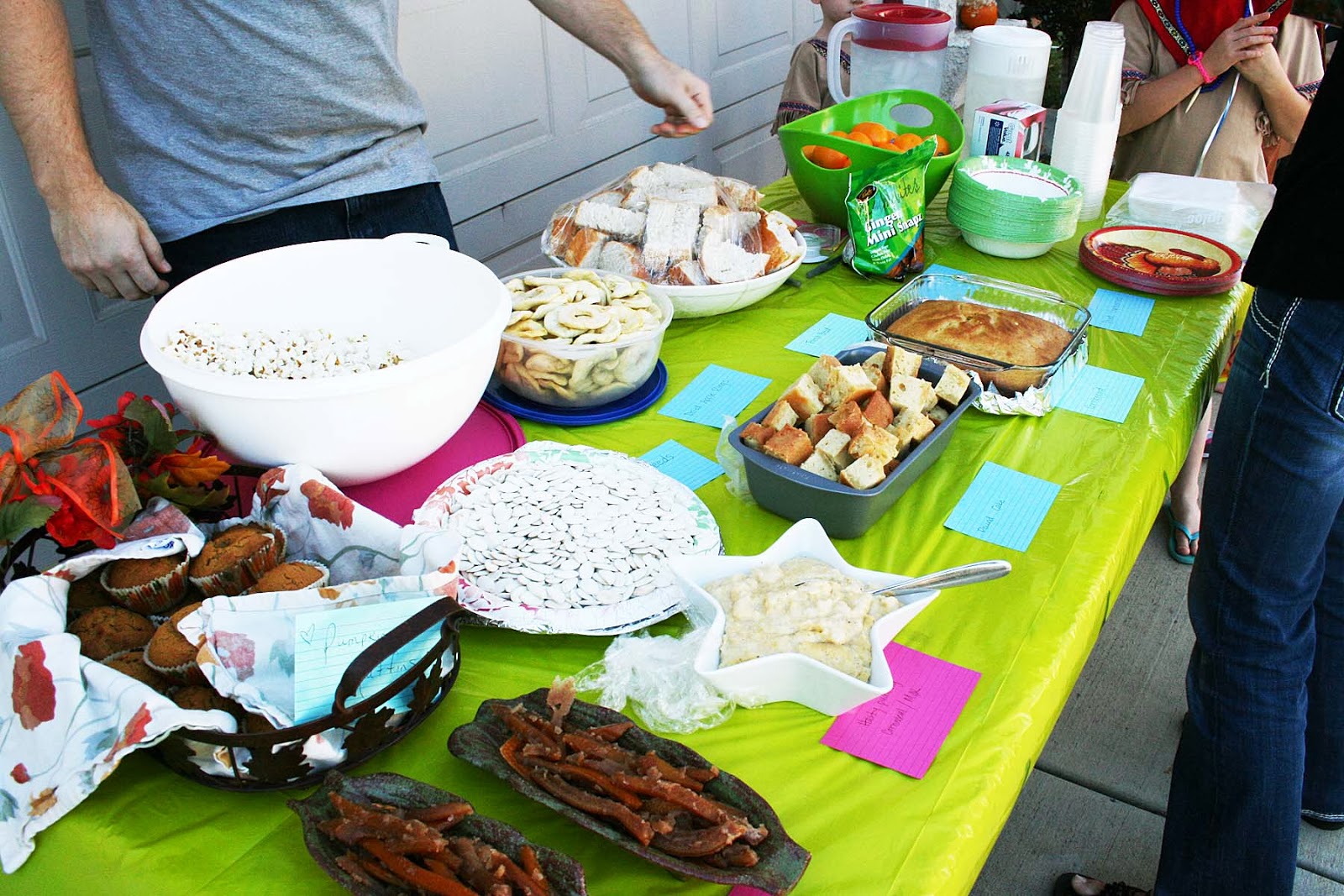 carrot top x 3: early american history fun (and a pilgrim house made of ...