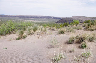 Southern New Mexico Explorer: Aden Crater and Kilbourne Hole