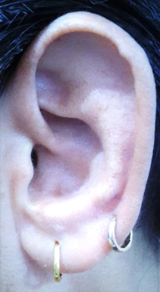 Psychology and Life: Sensory Process-Auditory