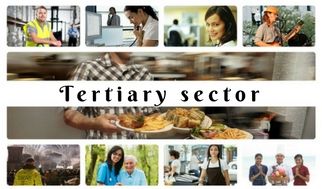 Tertiary Sector