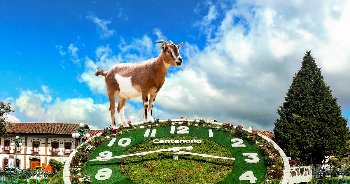 El chivo misterioso 🐐 - Hola Zacatlán | Entretenimiento, Guía de ciudad ...