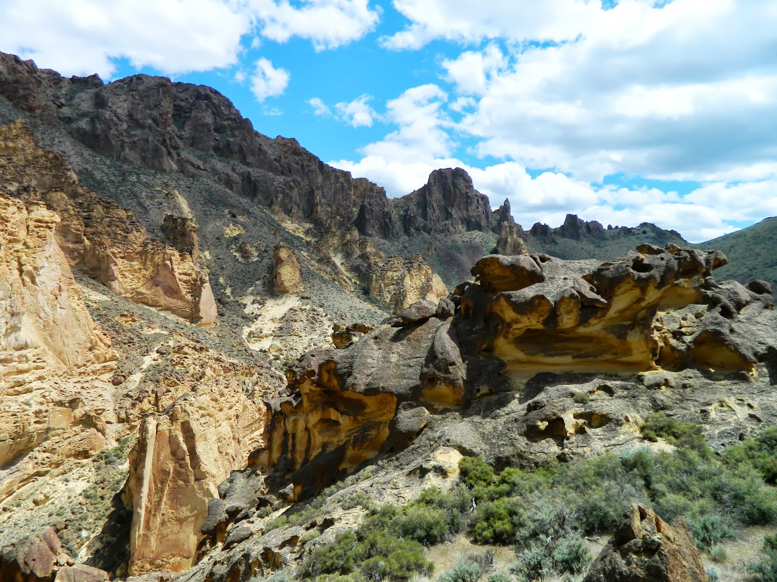 Living in Idaho: Timber Gulch at Leslie Gulch Area