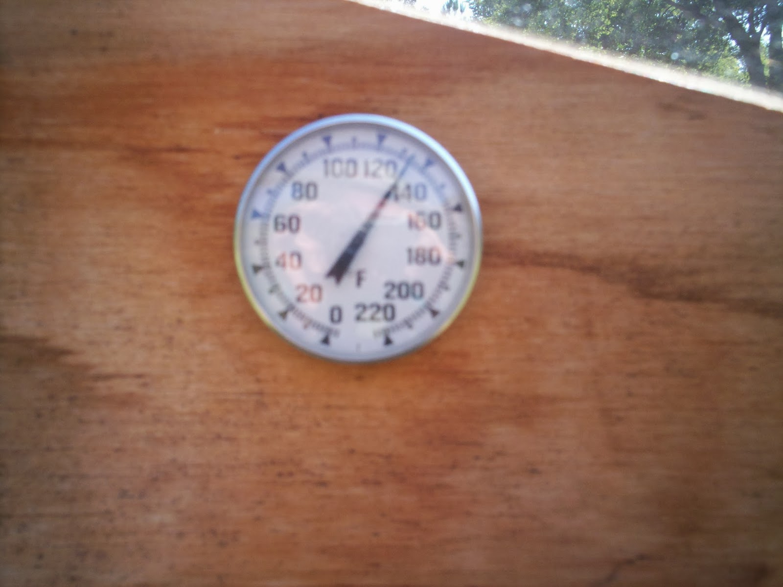 Preserving the Harvest: Learn why and how to use the sun to dehydrate ...