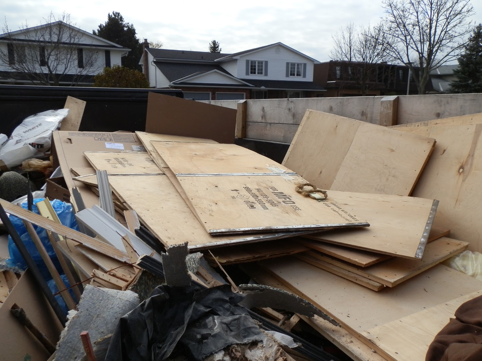 Todolwen: So Much Happening ...