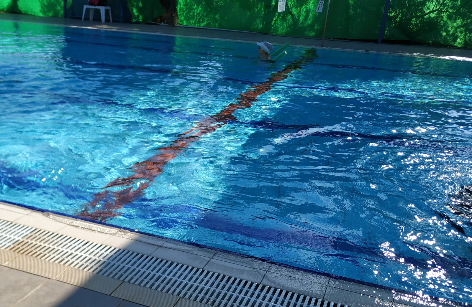 A Jewish Grandmother : FINALLY! The Pool is Open