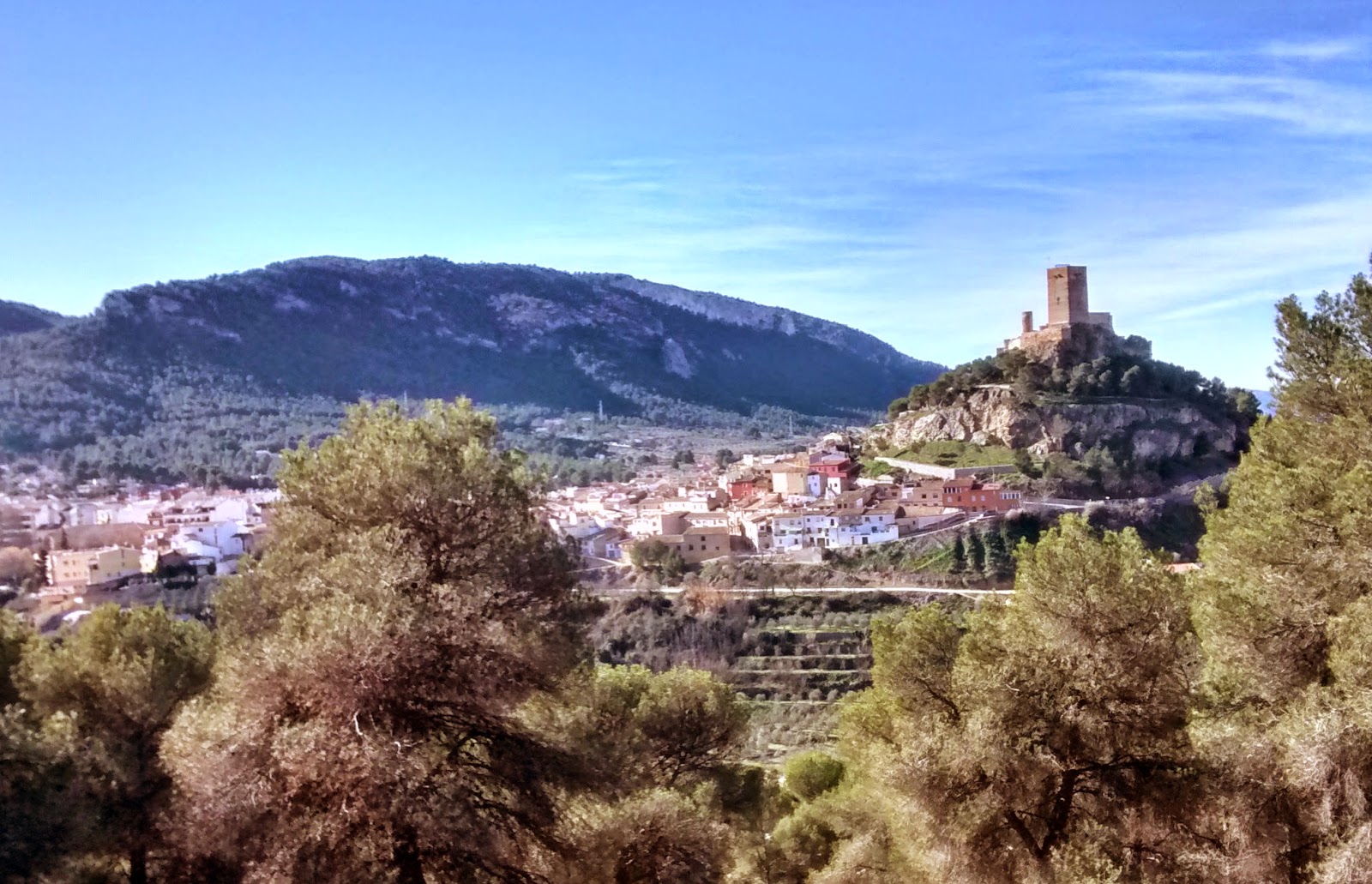 APIARIUM: *Vistas de Biar (desde el noreste).