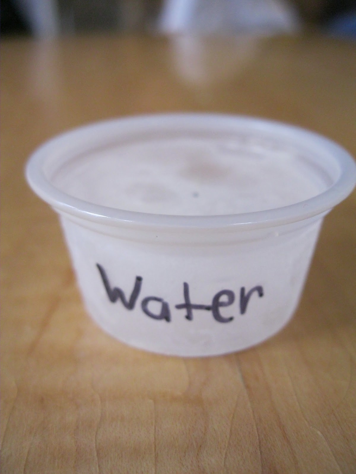 Montessori Messy: A Science Fair Project Using Stuff You Already Have ...