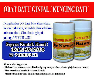 bahasa medis penyakit batu ginjal | bintik kasar di kelamin seperti kutil