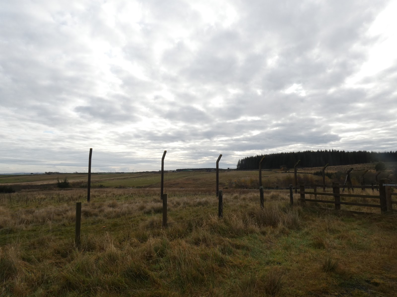 Boz North's Trail - Walking Blog: Waskerley Way - Hownsgill Farm to ...