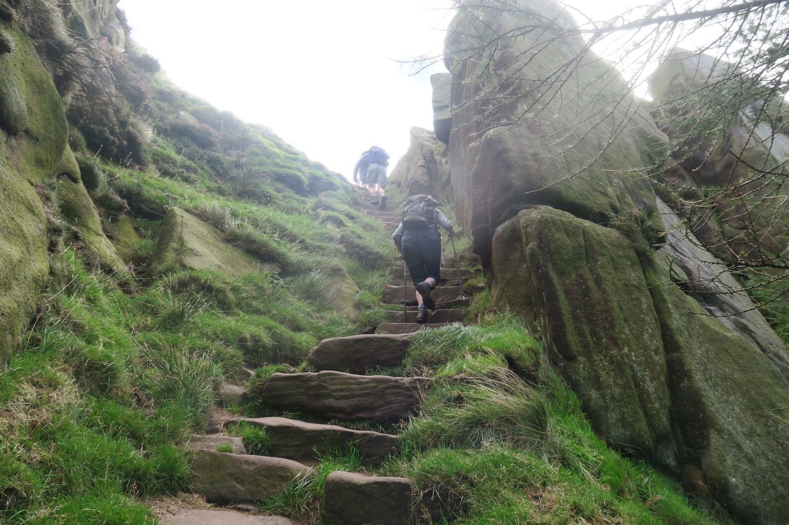 The Travels of a Curious Old Man: The Roaches and Lud's Church: Cowpat ...