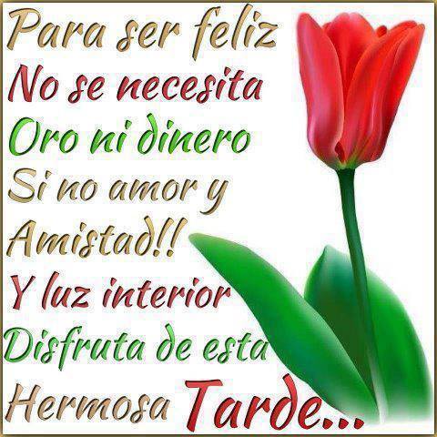 Disfruta esta hermosa tarde ~ Mejores Mensajes