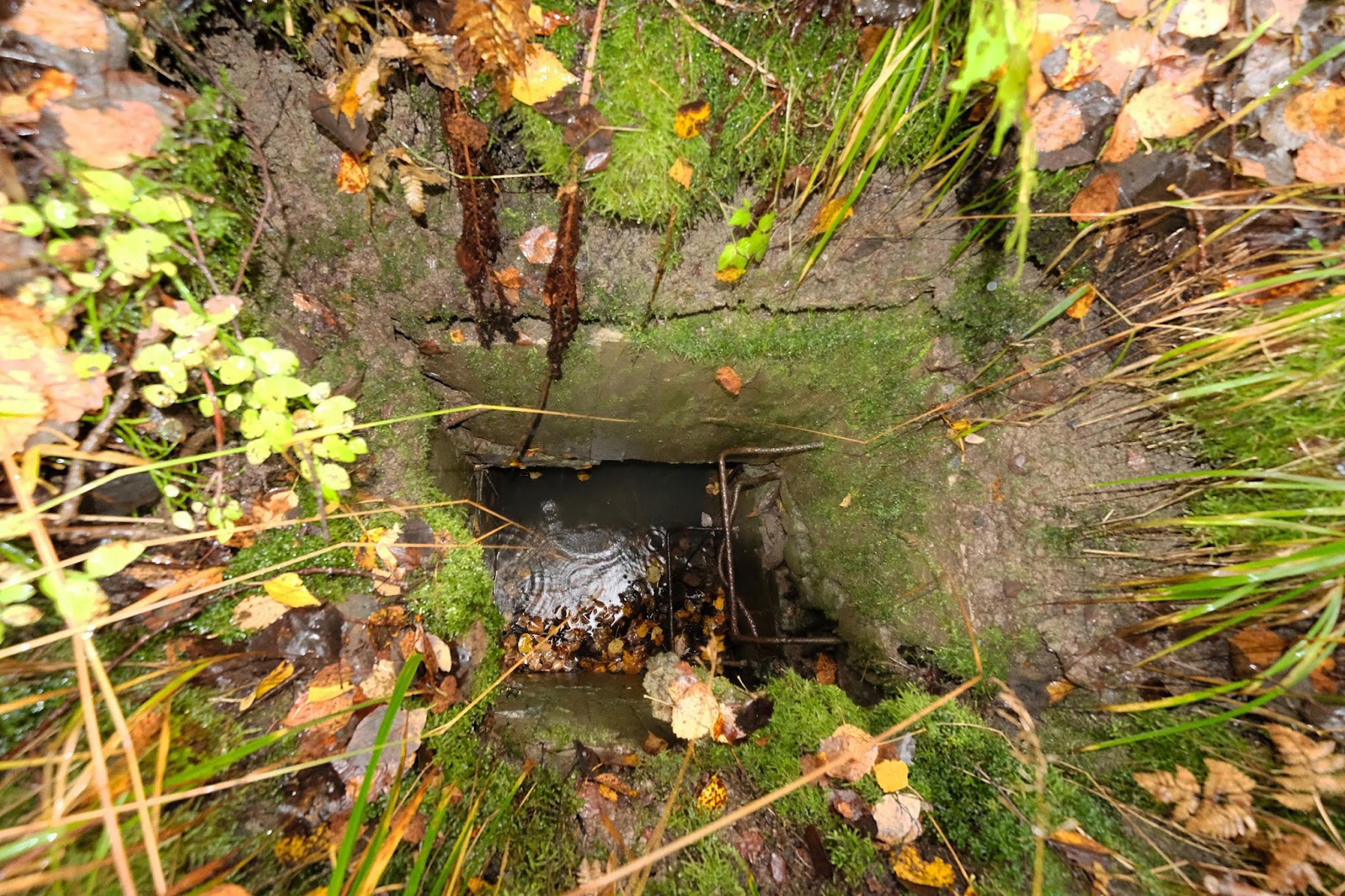 Skiing the Planet: Jorvas Bunkers