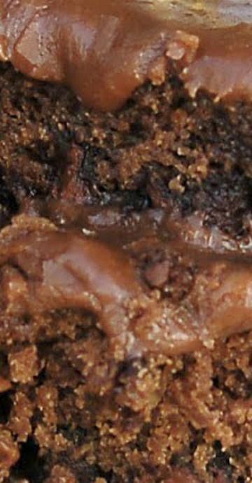 Ooey Gooey Chocolate Insanity Cake - vegan recipes vegetables