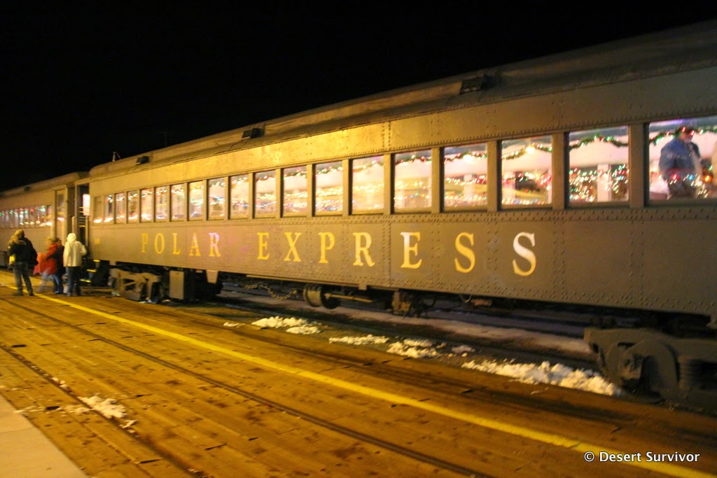 Desert Survivor: The Polar Express
